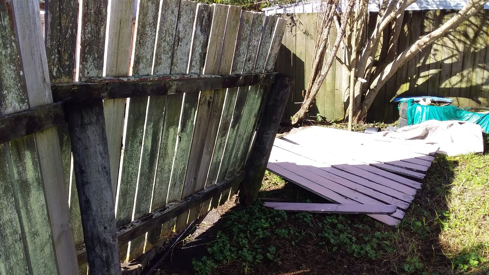 fallen fence 1 | Timber Fencing By Williams Property Services